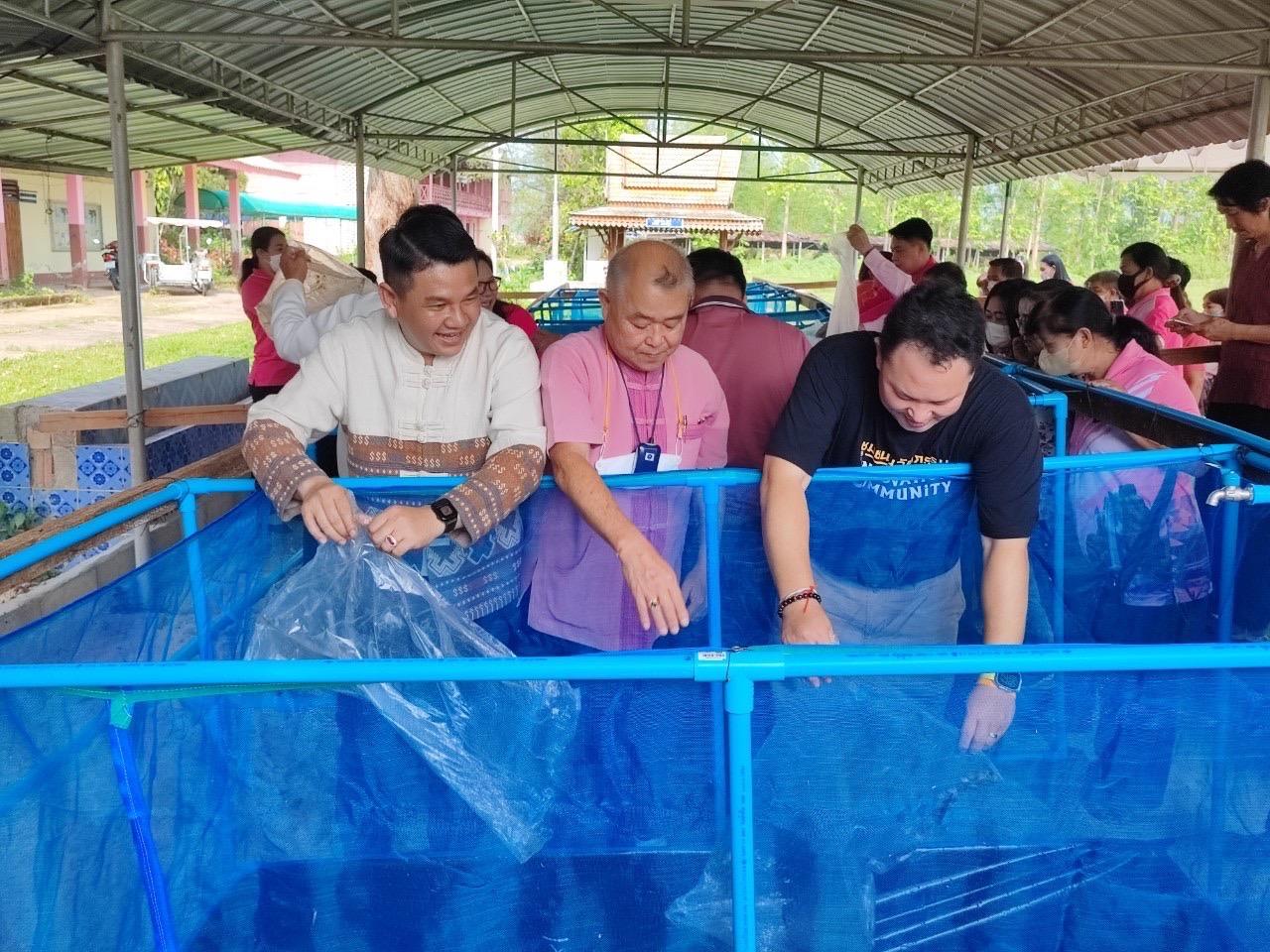 BCA researchers continue to advance the research project on improving ...