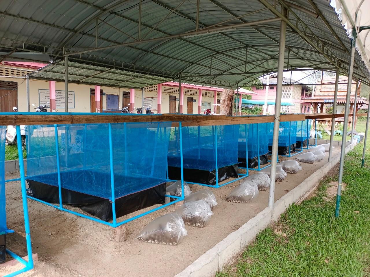 BCA researchers continue to advance the research project on improving ...