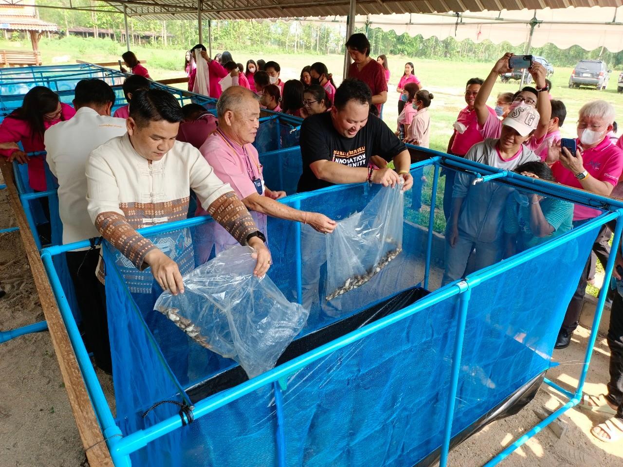 BCA researchers continue to advance the research project on improving ...