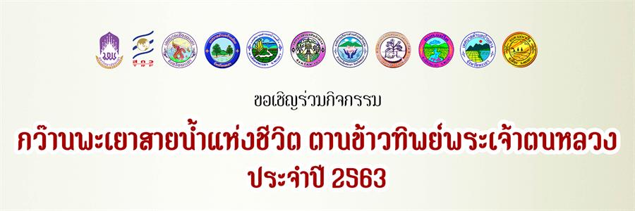 โครงการตานข้าวใหม่ใส่บาตรหลวง ประจำปี 2563 : มหาวิทยาลัยพะเยา